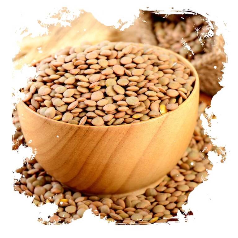 Canadian Lentils Exporting Supply & Demand