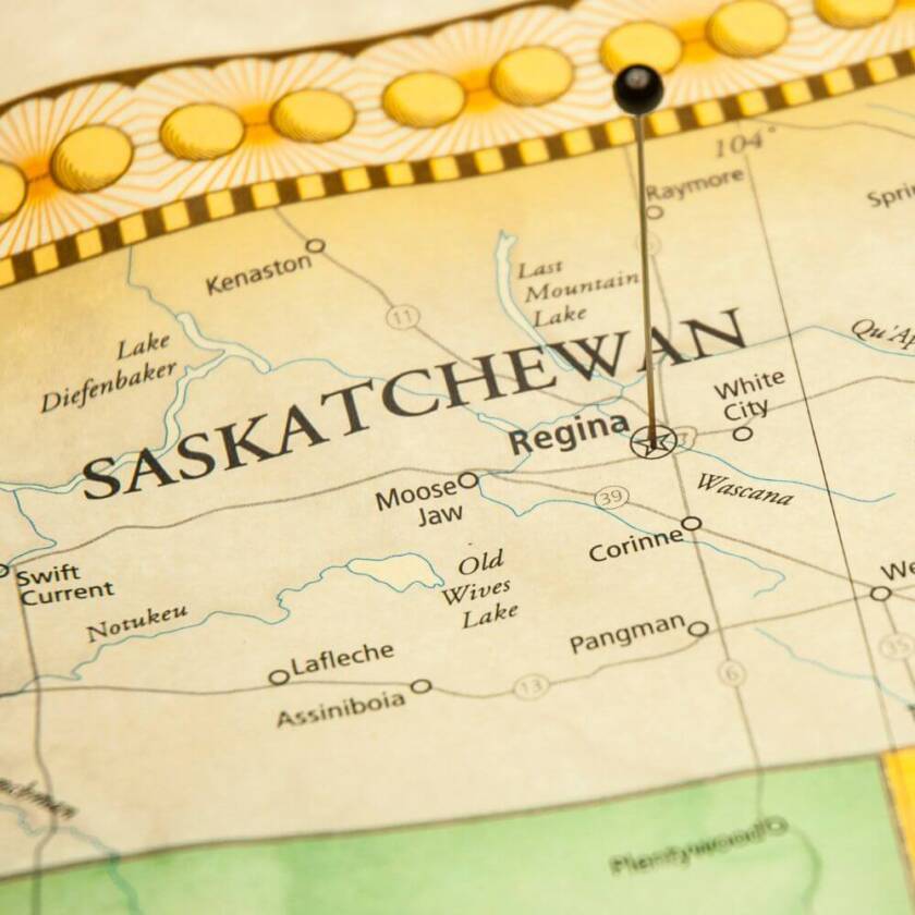 Canadian Laird Lentils Supplier & Exporter | Bennetts Grain