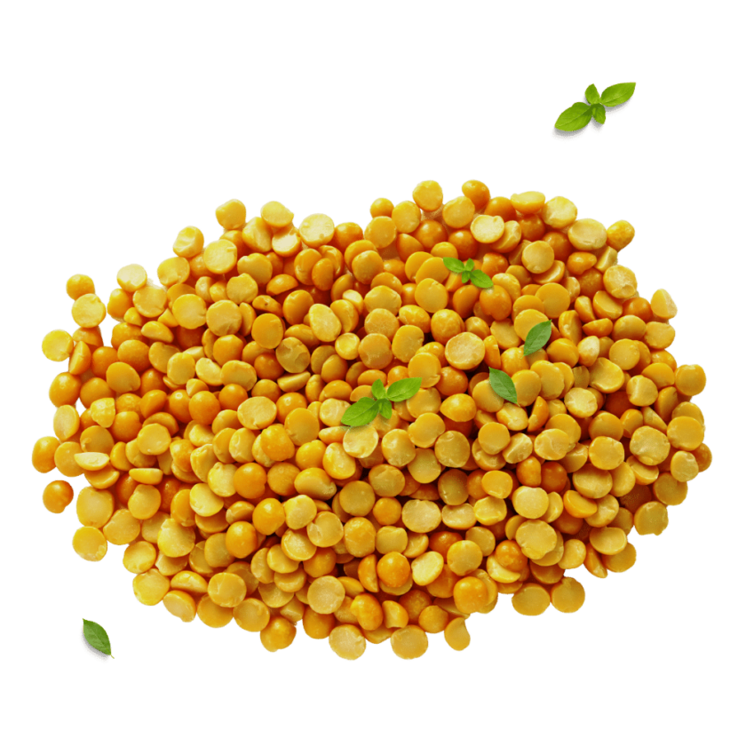 Canadian Split Yellow Peas Supplier & Exporter