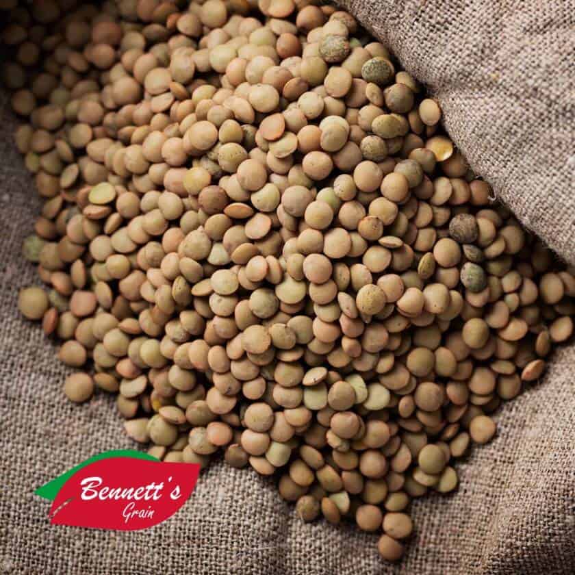 Canadian Laird Lentils Supplier & Exporter | Bennetts Grain