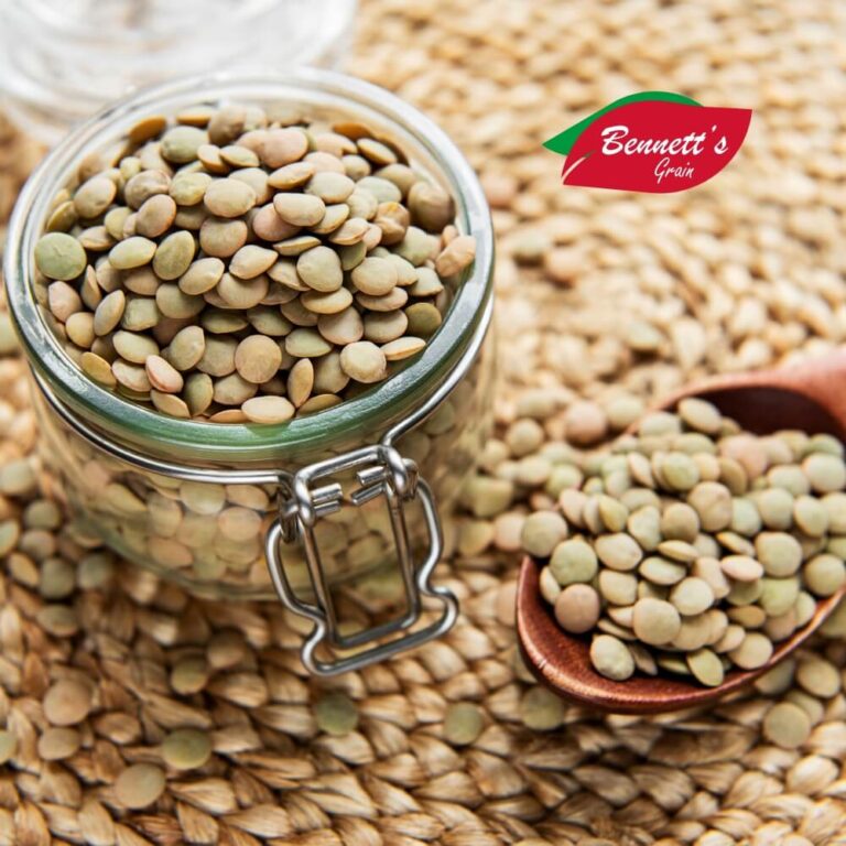 Canadian Eston Lentils Supplier & Exporter