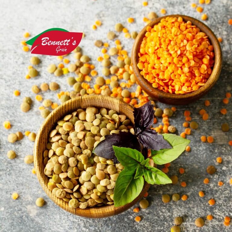 Canadian Lentils Exporting Supply & Demand