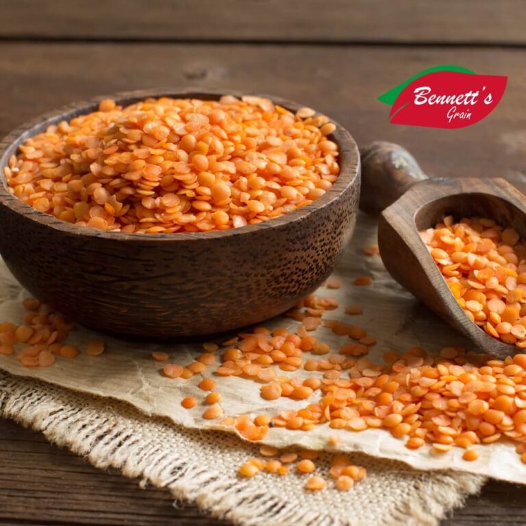Canadian Lentils Exporting Supply & Demand