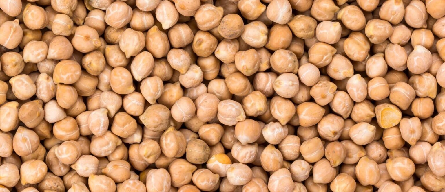 Canadian Chickpea Supplier & Exporter