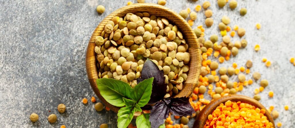 Canadian Laird Lentils Supplier & Exporter